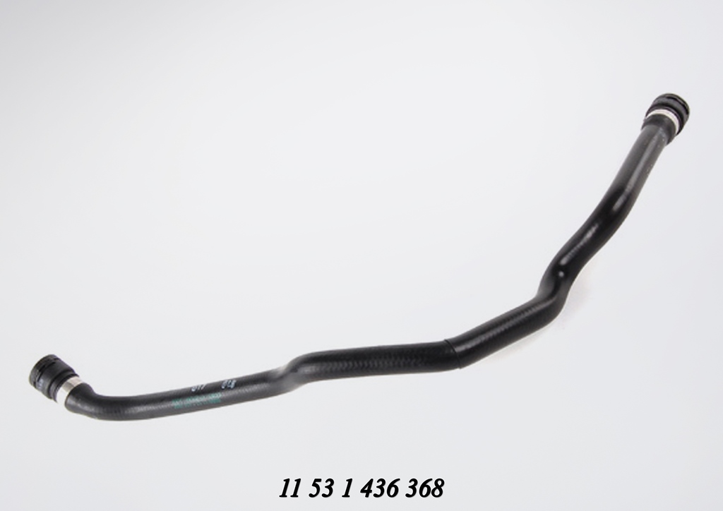 BMW E46 Sedan 318i Cooling: Radiator Hose - BMW - E46 318i M43 - Bottom