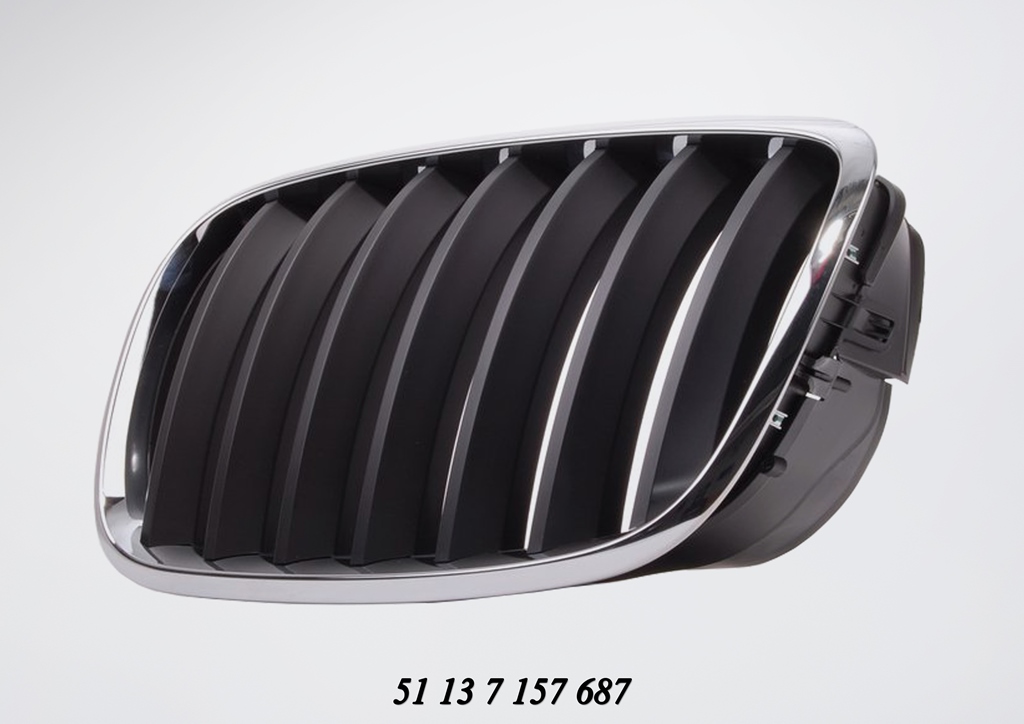 BMW E71 X6 40dX Vehicle Trim: Bonnet Grille - BMW E70 / E71 X-Series ...